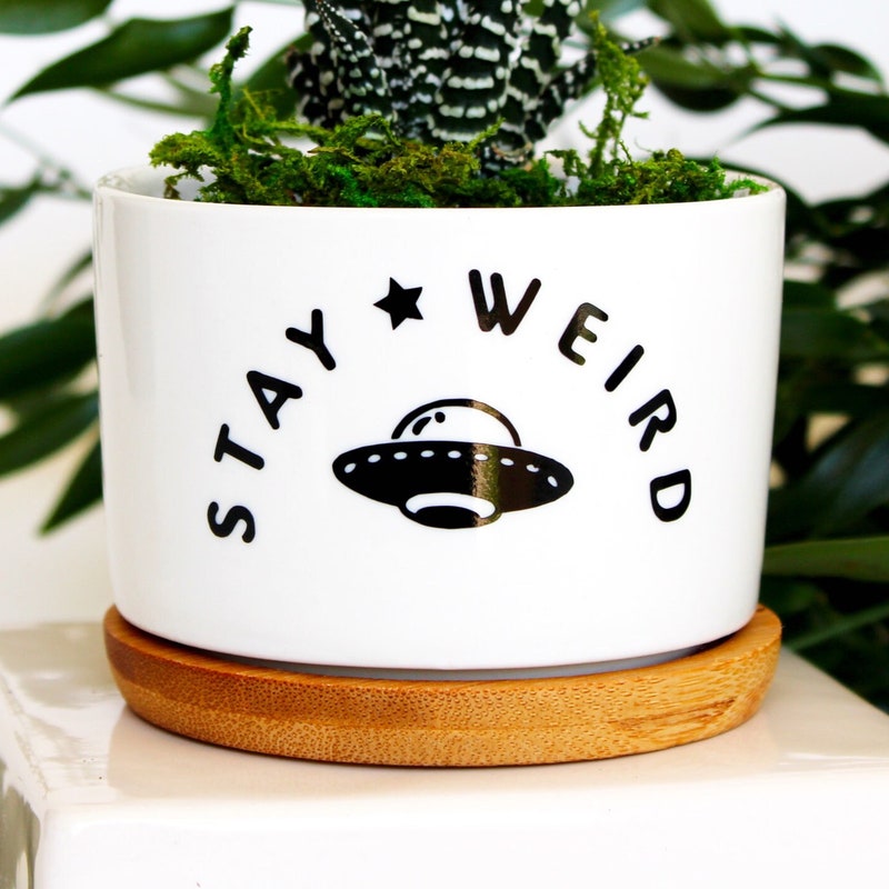Funny Planters - Etsy