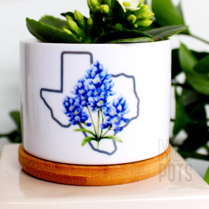 Bluebonnet Decor - Etsy
