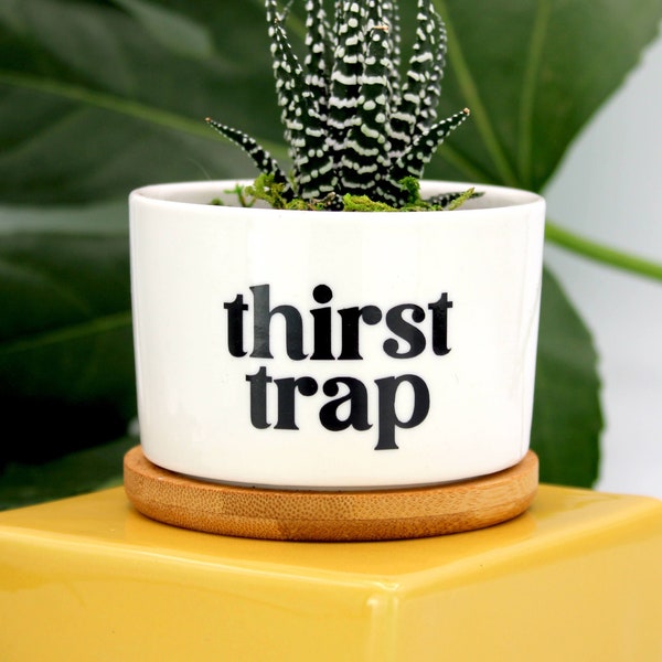 Funny Planters - Etsy