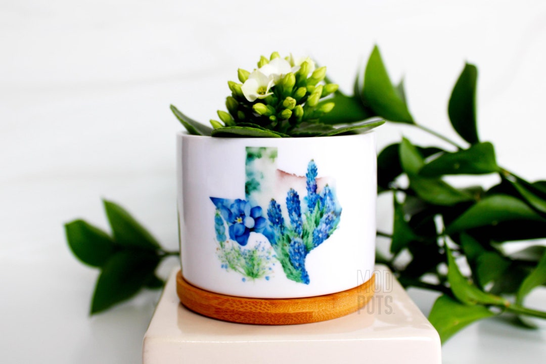 Texas Bluebonnet Planter Pot | Texas State Flower Texas Souvenir for ...