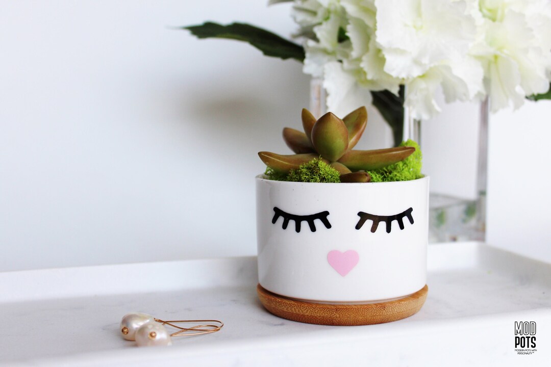 Eyelashes Pot | Succulent Planter | Small Succulent Pot | Lash Studio ...