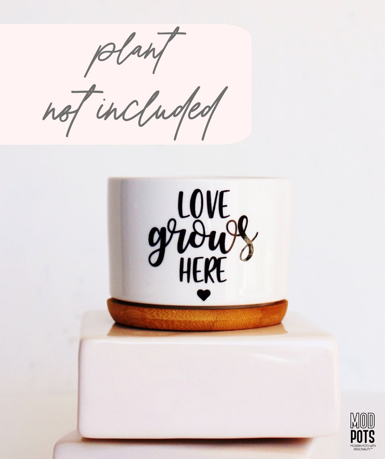 Love Grows Here Succulent Planter Gift for Couple - Etsy