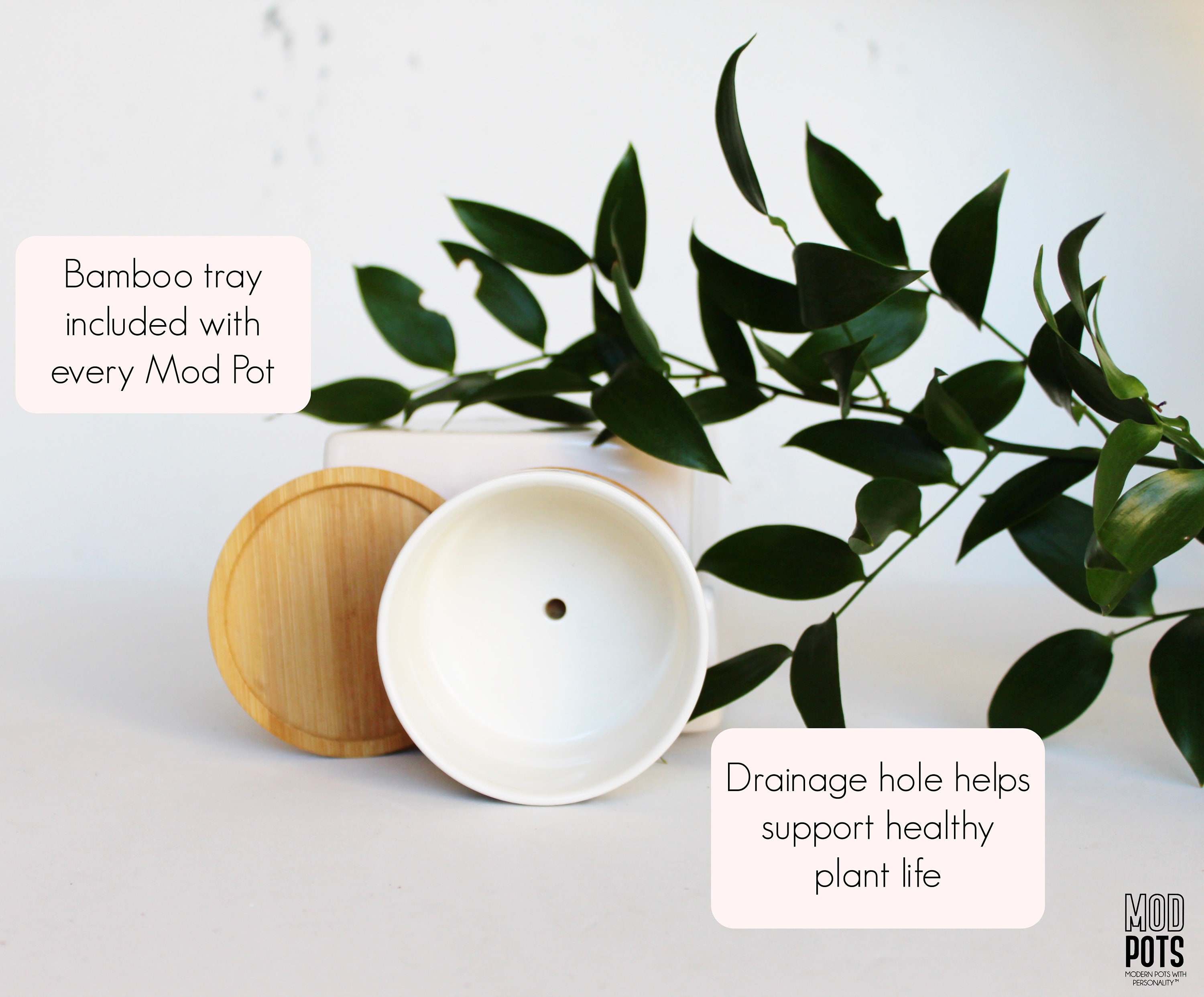 Emotional Support Plant Funny Planter Gift for Someone - Etsy