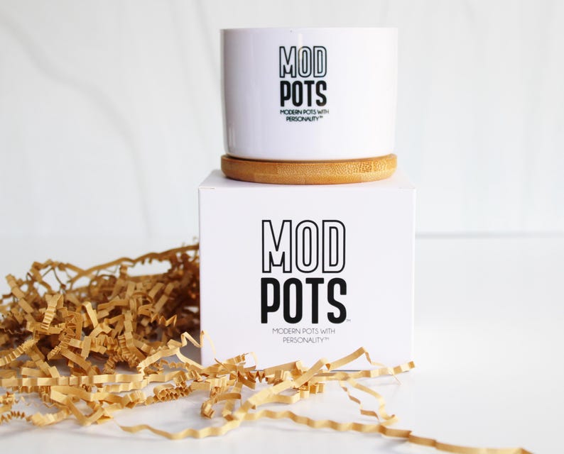 Mod Pots Gift Box - Etsy