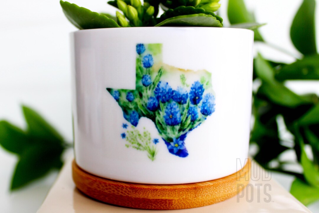 Texas Bluebonnets | Texas Shape and Bluebonnets | Bluebonnet ...