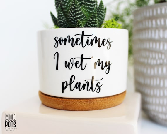 Plant Pot Memes