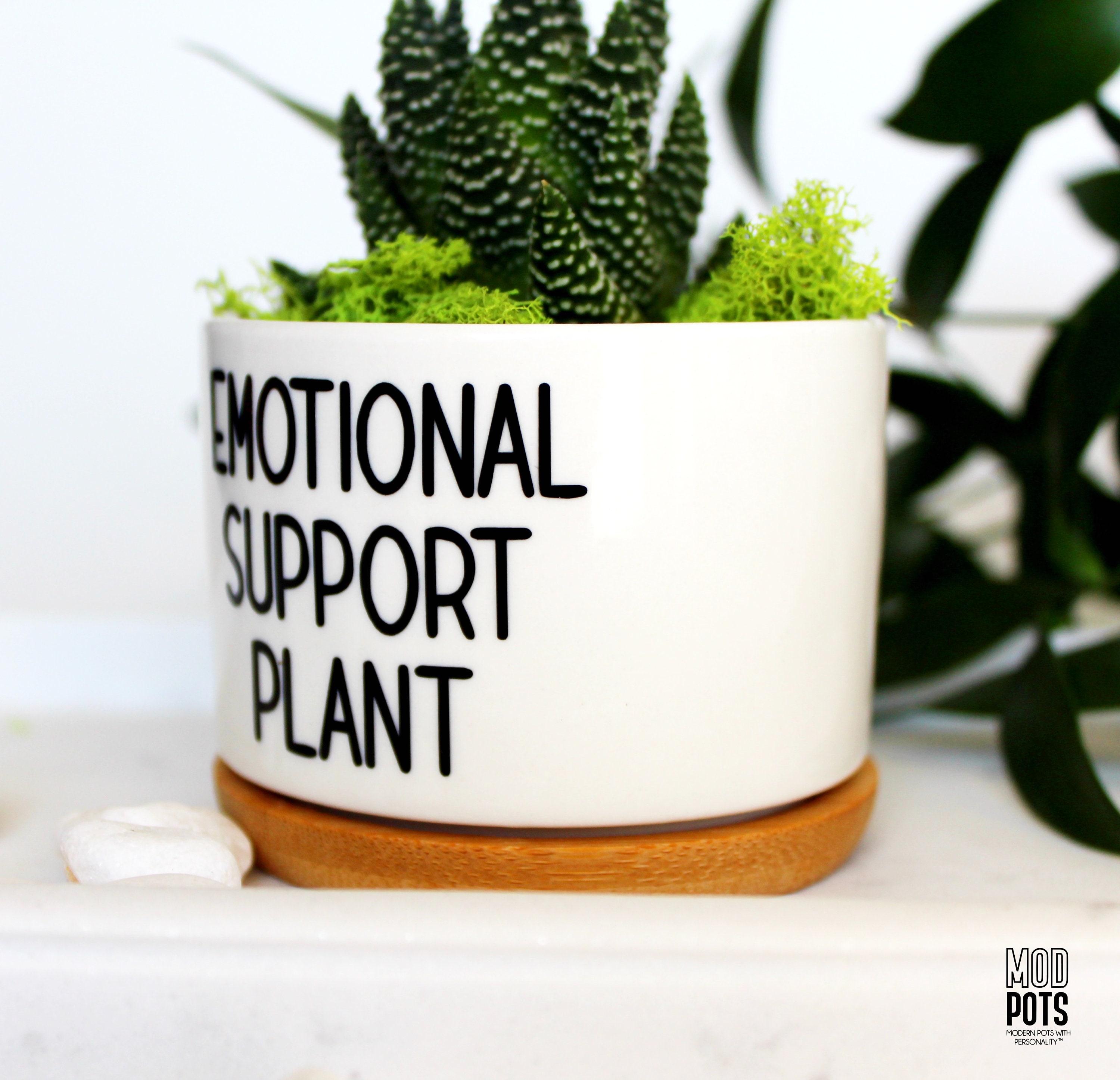 Emotional Support Plant Funny Planter Gift for Someone - Etsy