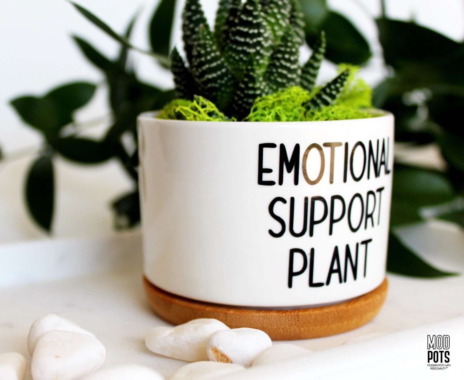 Emotional Support Plant | Funny Planter | Plant Puns | Funny Planters ...