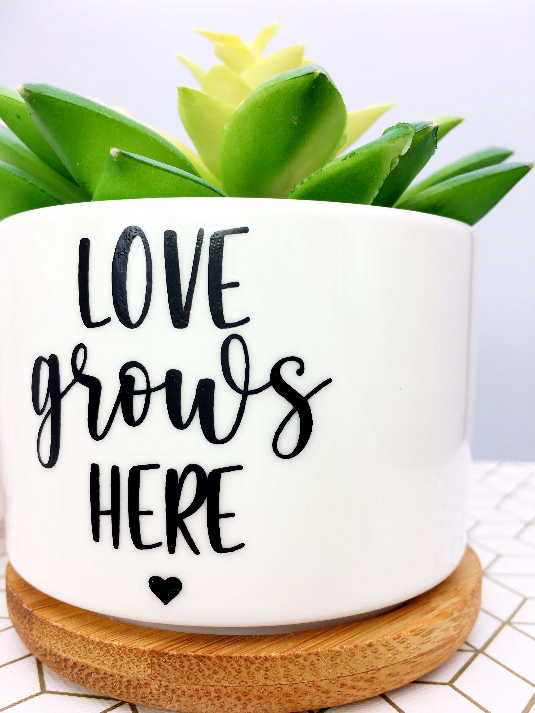 Love grows here succulent planter gift for couple | Etsy