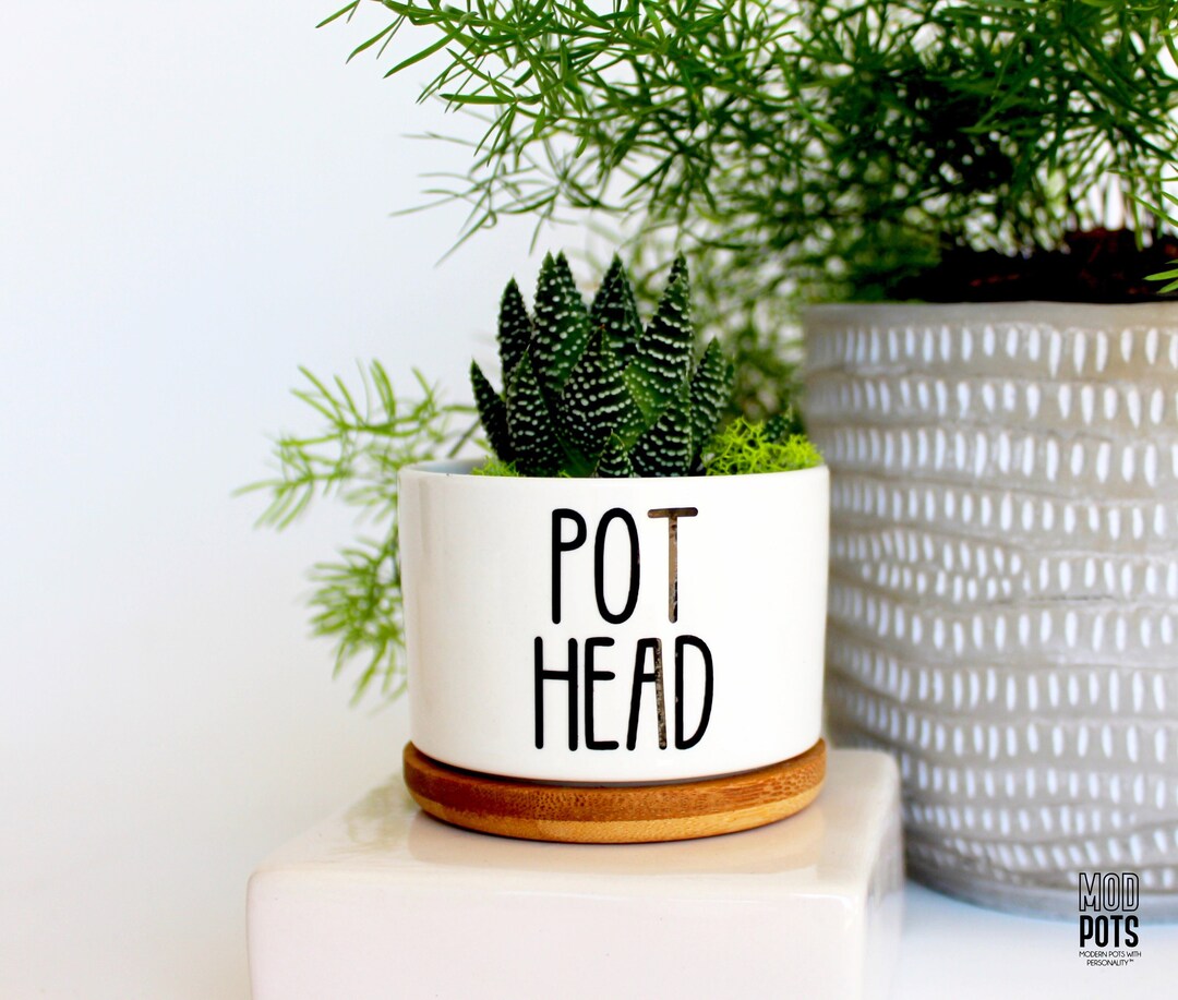 Pot Head, Succulent Pot, Pot Head Gift - Etsy