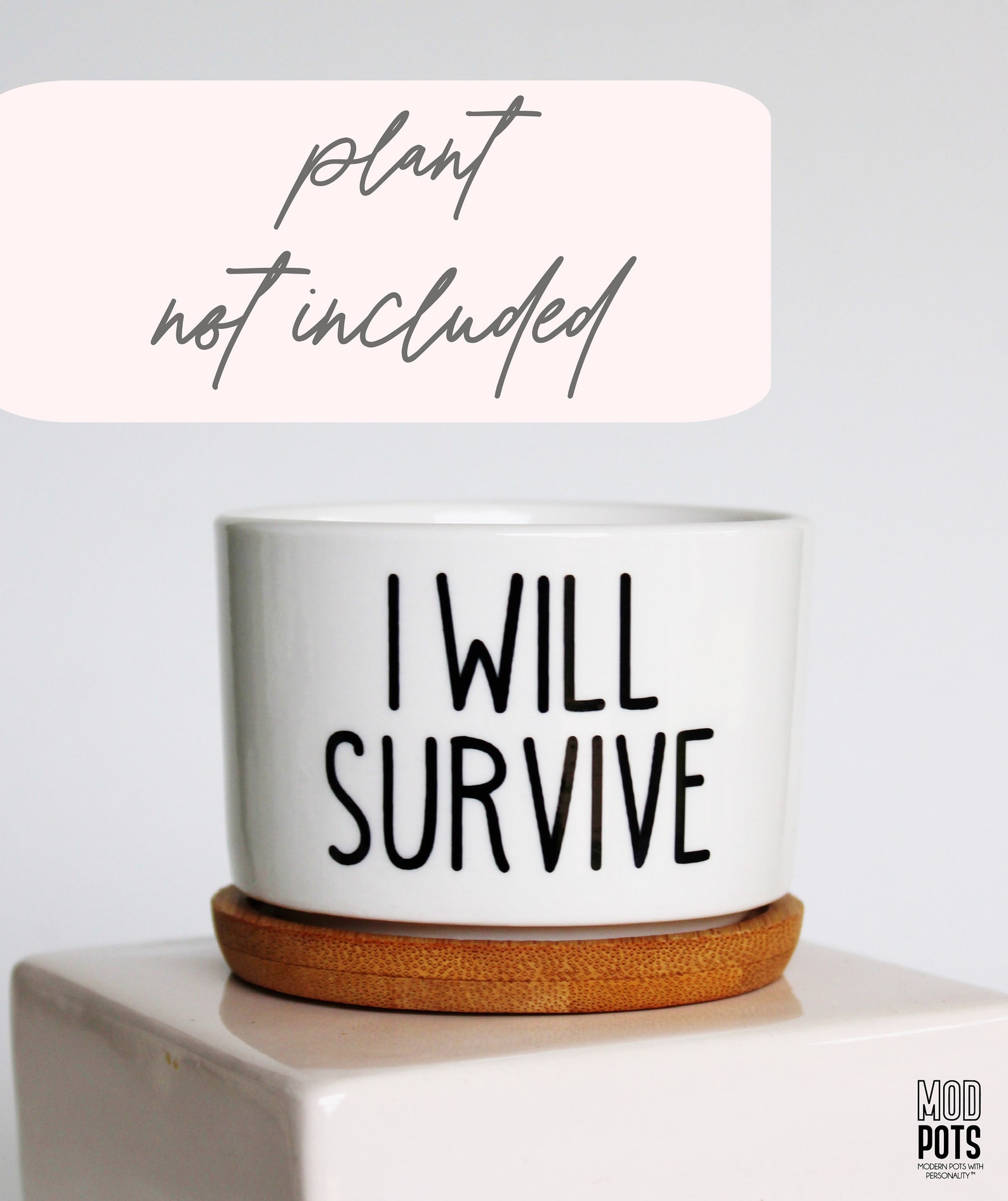 I Will Survive Funny Planter Succulent Planter Get Well - Etsy