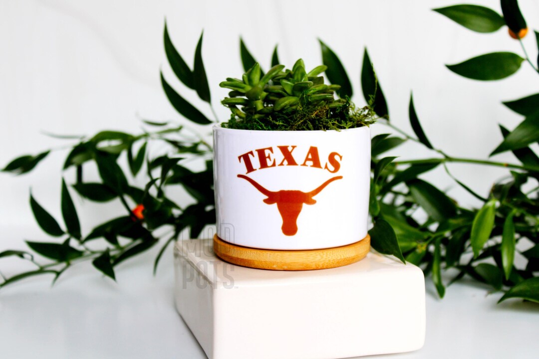 Texas With Longhorn | UT Austin | UT Longhorns | UT Alumni | Gift for ...