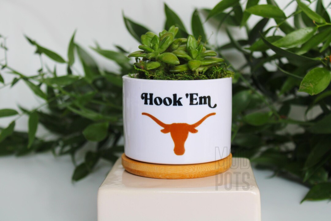 Hook 'em | UT Austin | Texas Longhorns | Hook Em | Hook Em Horns ...