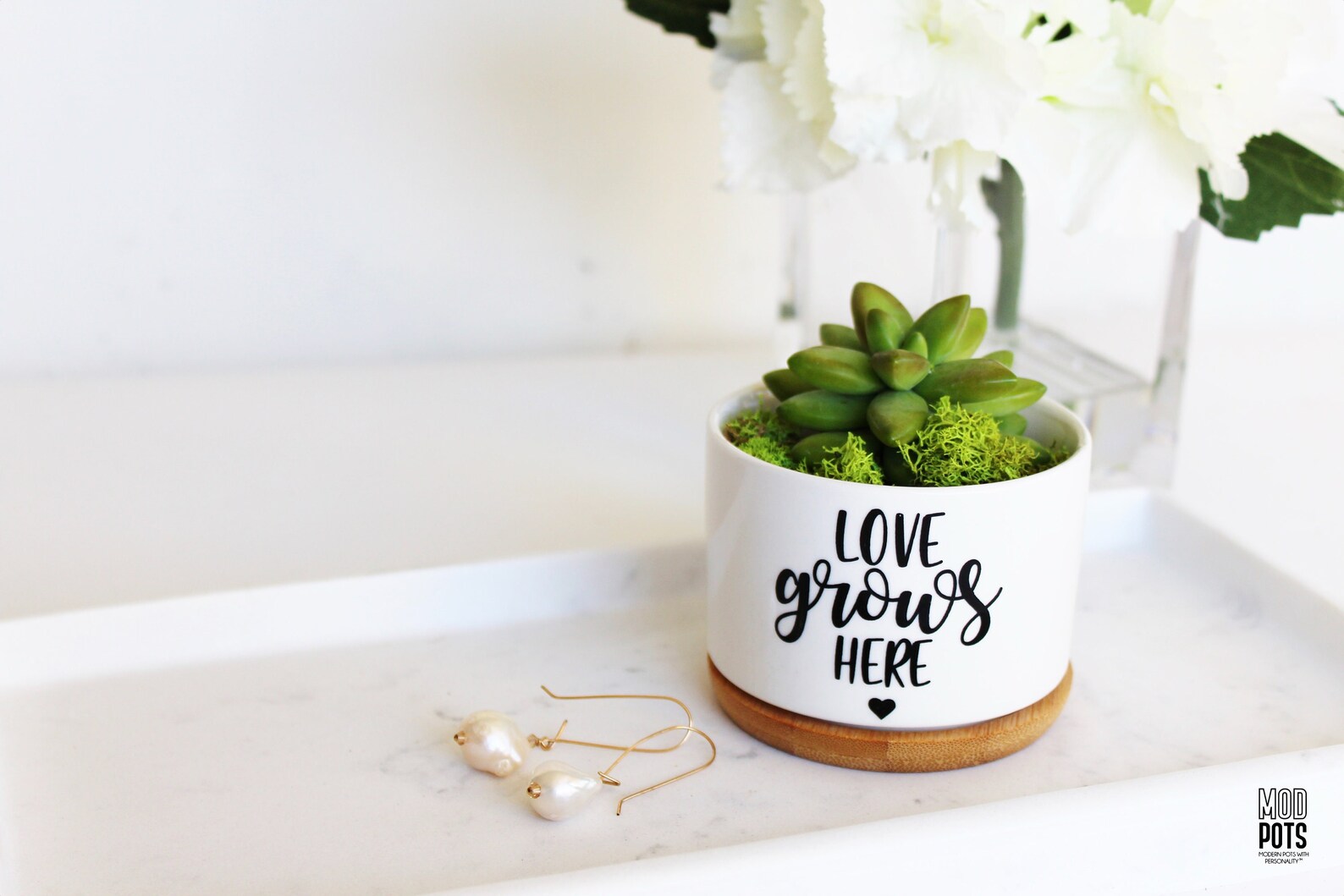 Love Grows Here Succulent Planter Gift for Couple - Etsy