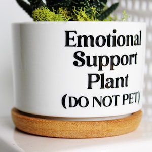 Emotional Support Plant (DO NOT PET) | Funny Planter | Emotional ...
