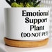 Emotional Support Plant DO NOT PET Funny Planter Emotional Support ...