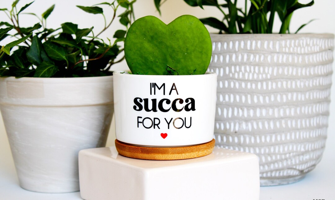 I'm a Succa for You | Funny Planters | I'm a Sucker for You | Funny ...