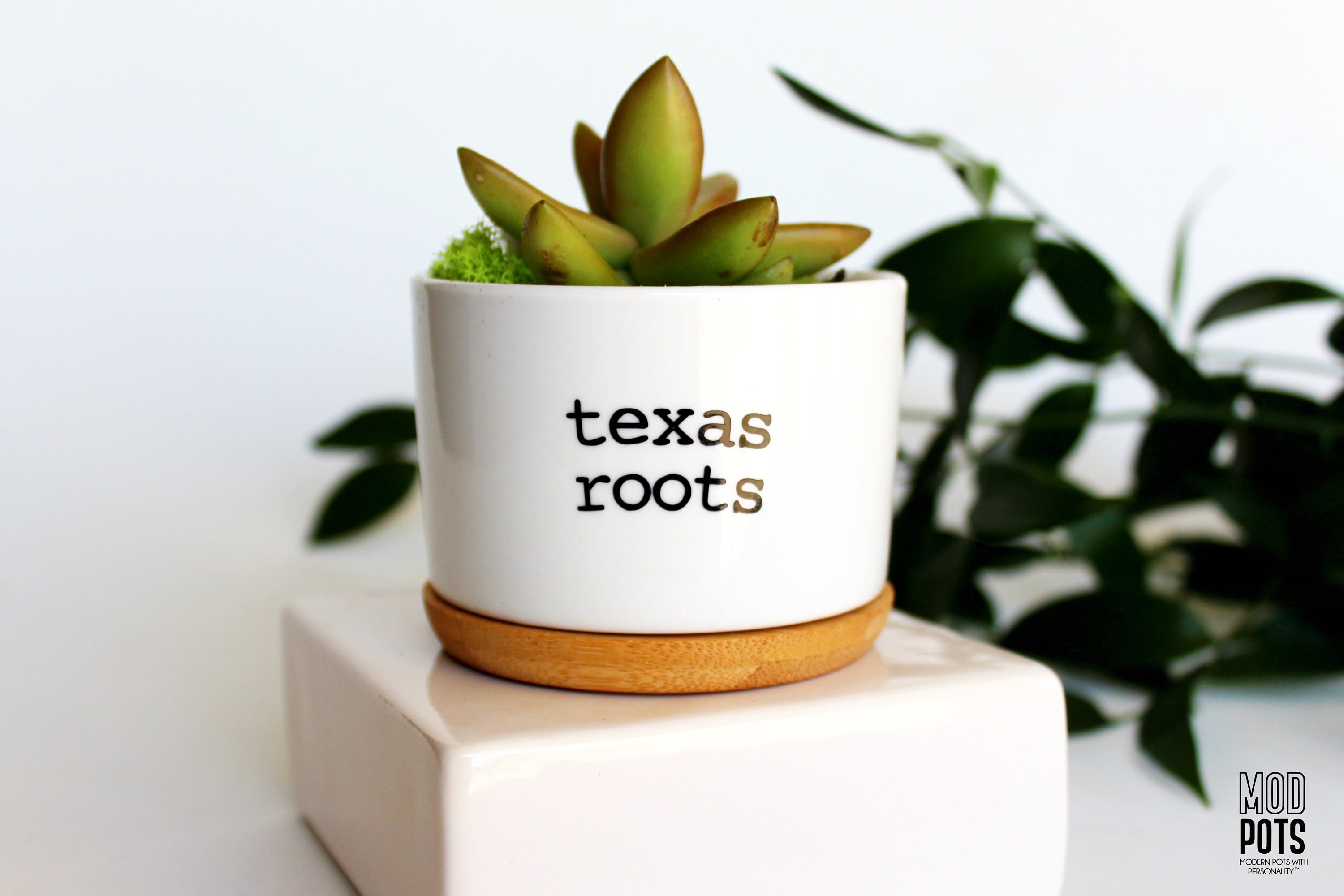 Texas Roots | Texas Pride | Texas Gifts | Texas Gift | Texas Souvenir ...