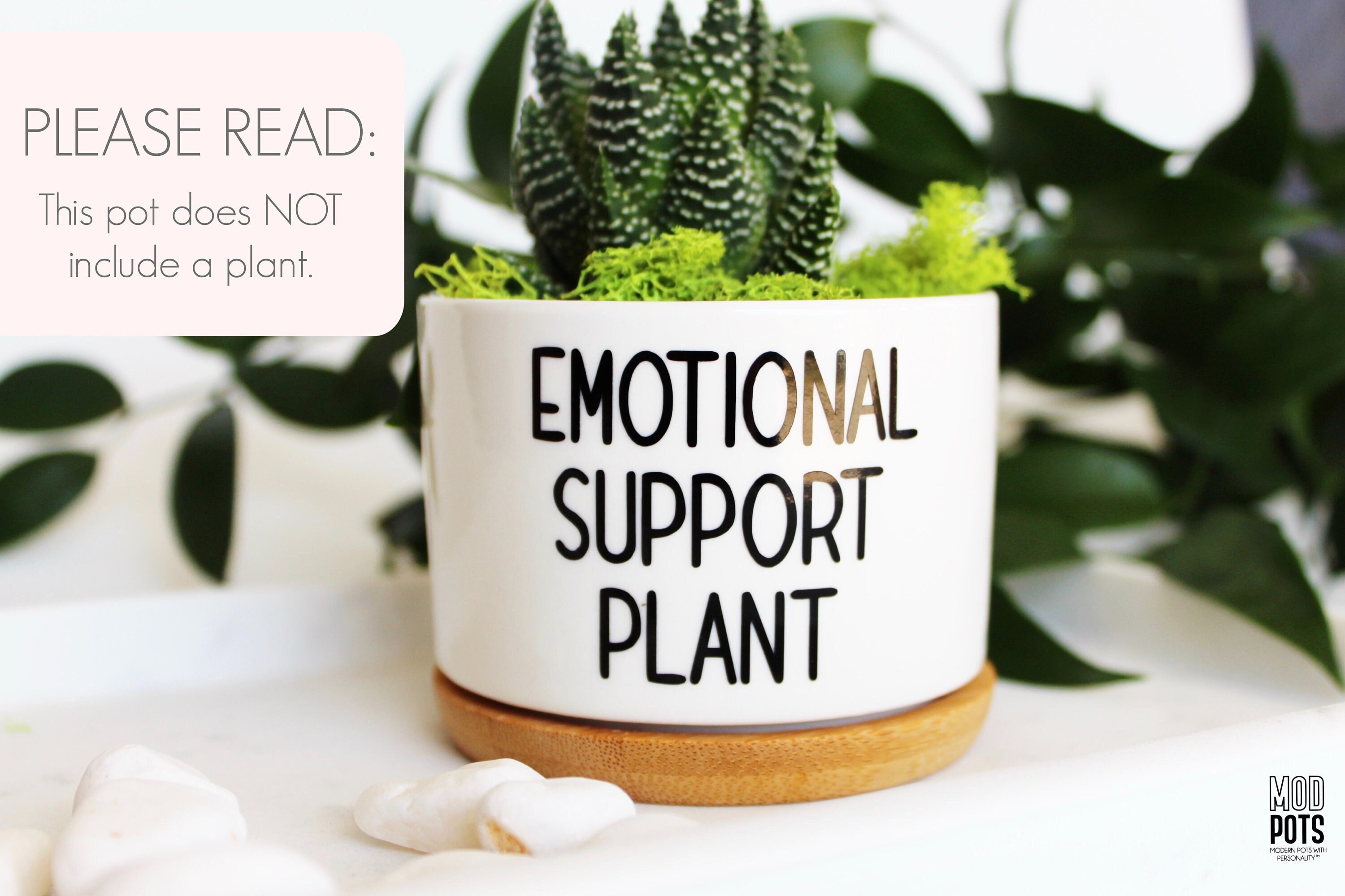 Emotional Support Plant | Funny Planter | Plant Puns | Funny Planters ...