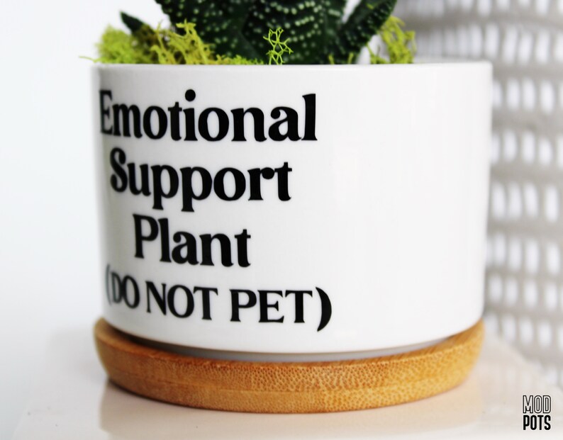 Emotional Support Plant DO NOT PET Funny Planter Support - Etsy
