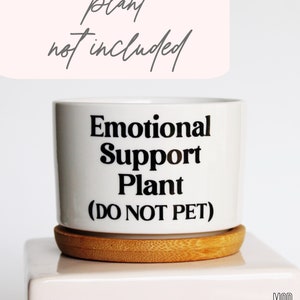 Emotional Support Plant (DO NOT PET) | Funny Planter | Emotional ...