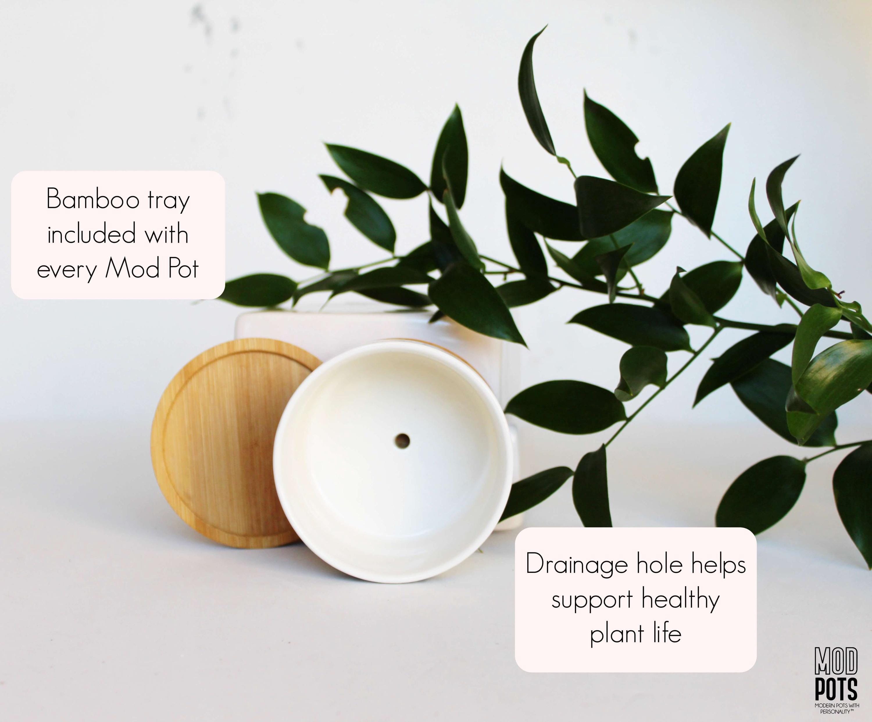 Remembering Mom With Dates, Memorial Pot, Bereavement Gift, Sorry for ...
