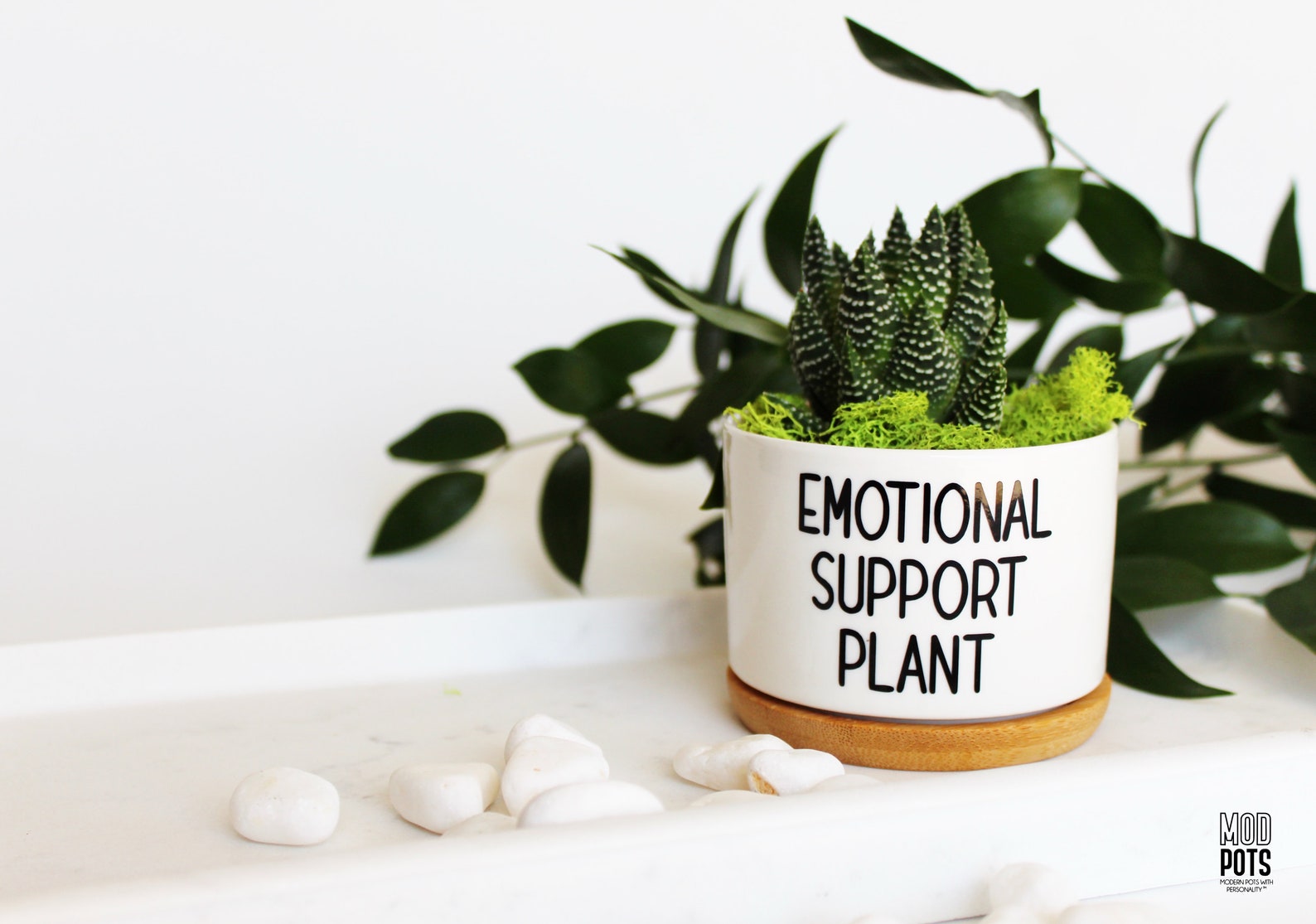 Emotional Support Plant Funny Planter Plant Puns Christmas Gifts Small ...