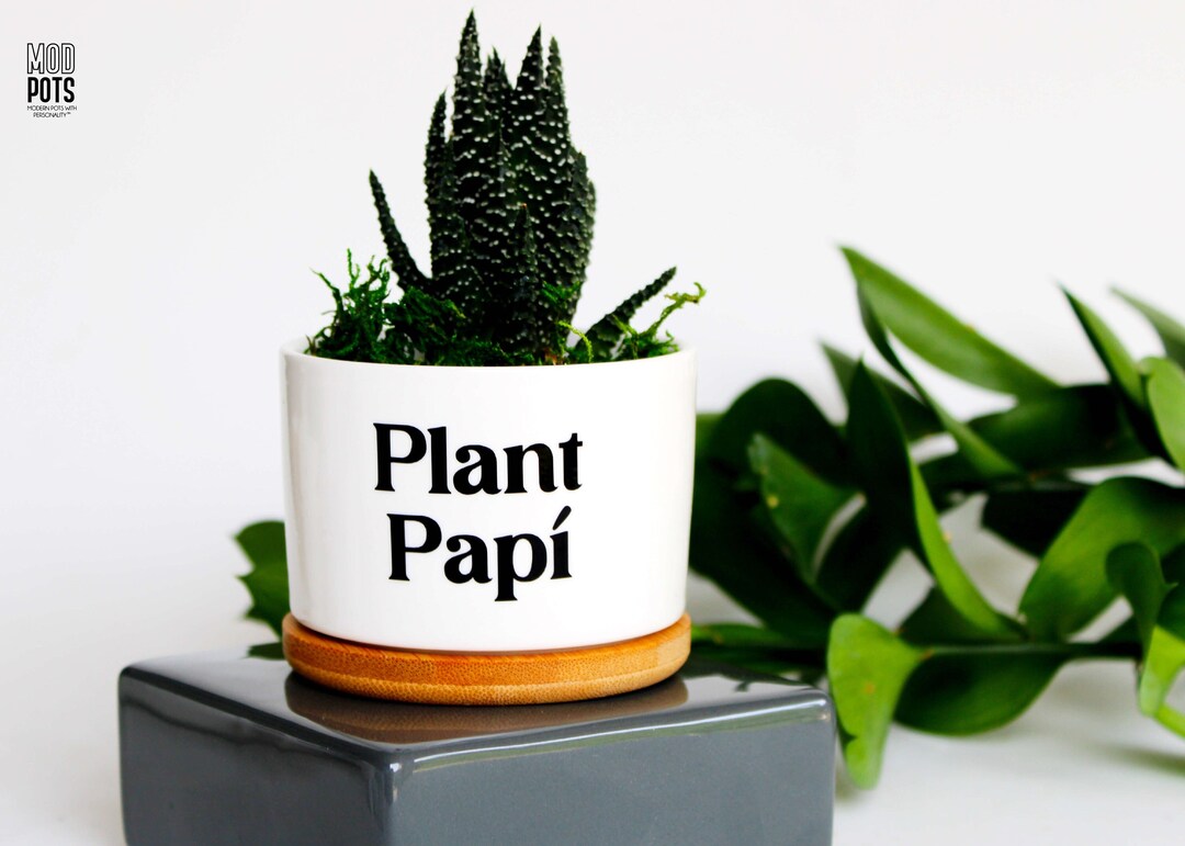 Plant Papi | Plant Daddy | Plant Dad | Guy Who Loves Plants | Plant Guy ...