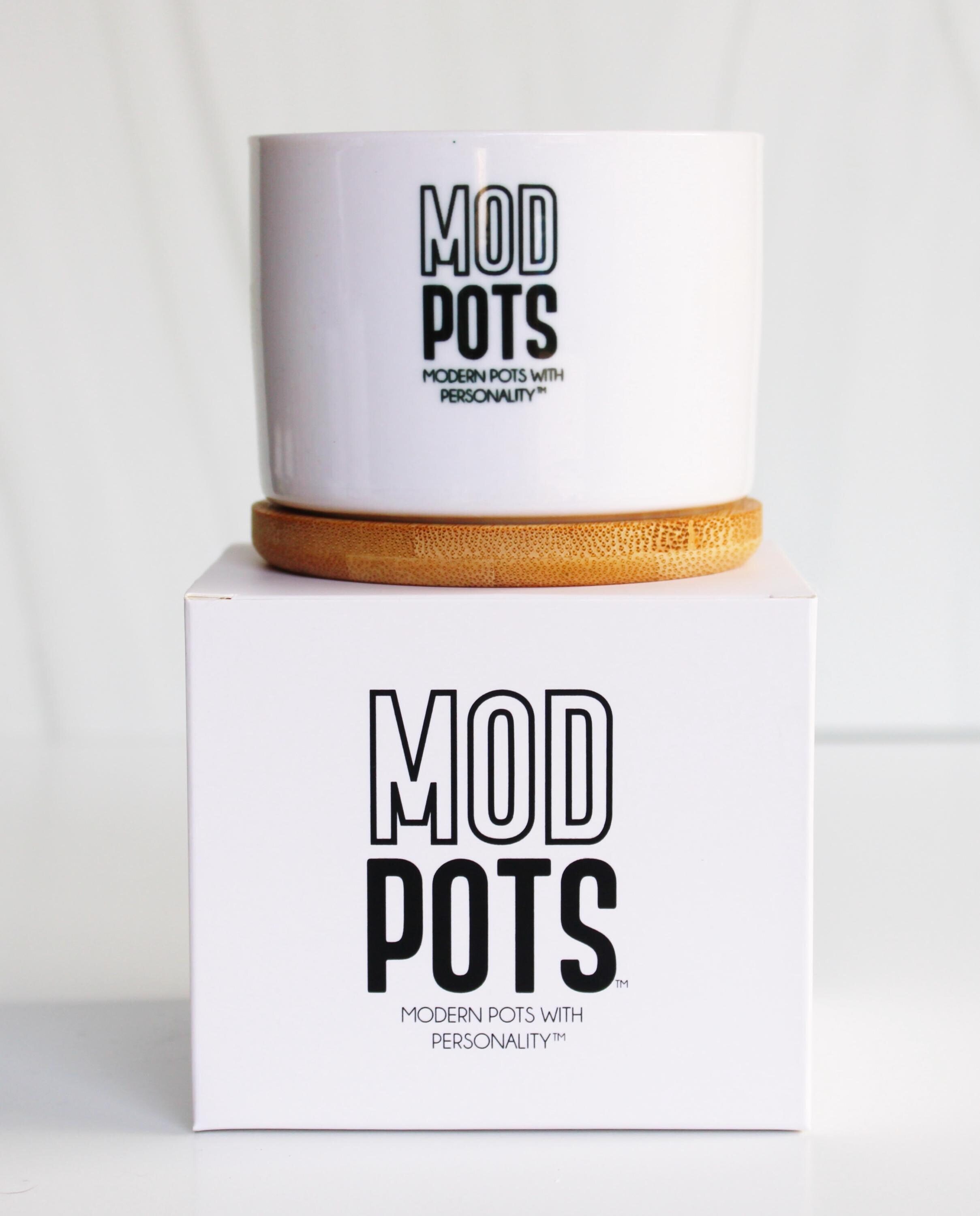 Mod Pots Gift Box - Etsy