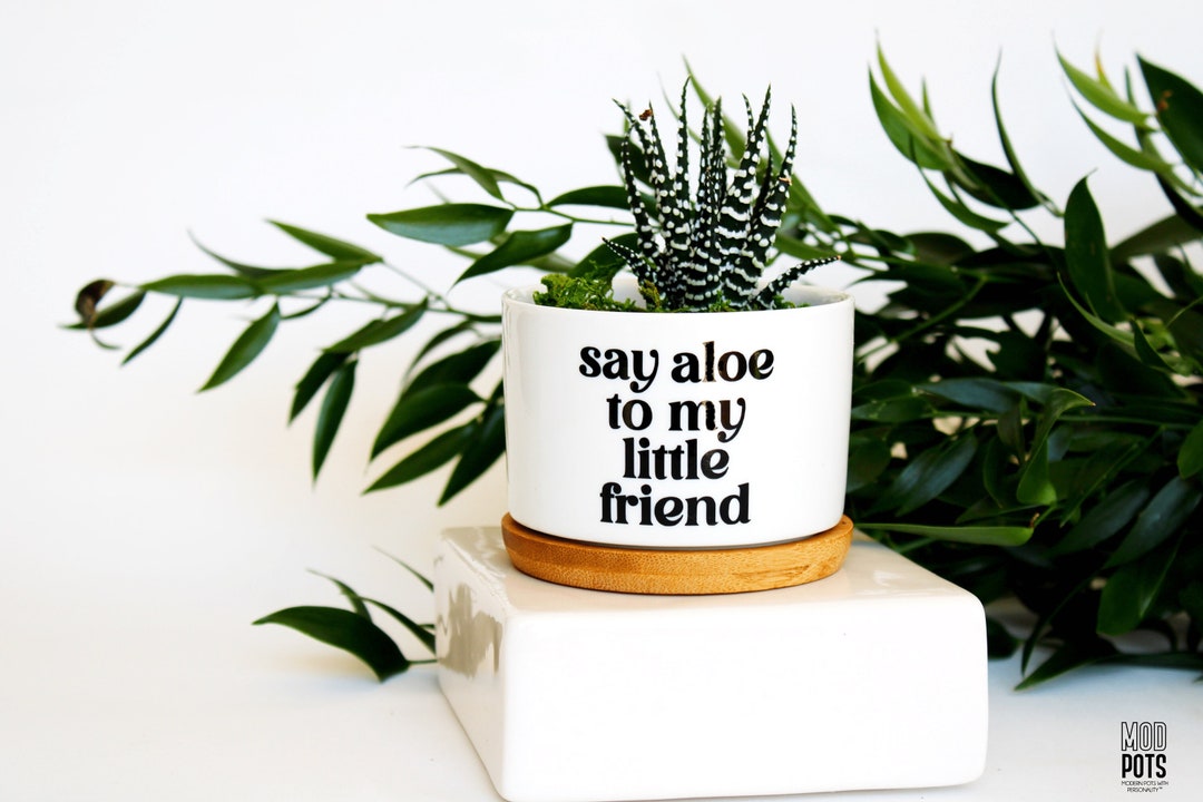Say Aloe to My Little Friend | Funny Planter | Plant Pun | Pun Pot ...