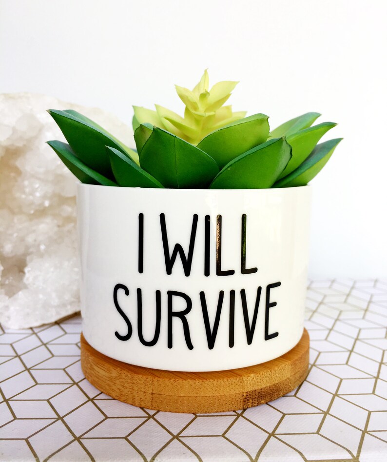I Will Survive Funny Planter Succulent Planter Best Friend - Etsy