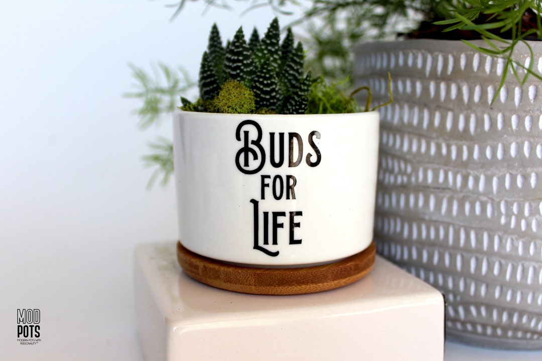 Buds for Life | Succulent Planter | Best Friend Gift | Besties | Small ...
