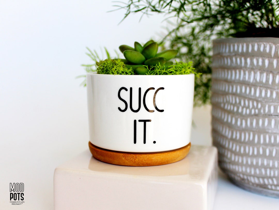Succ It | Funny Planters | Funny Plant Pot | Funny Gift for Plant Lover ...