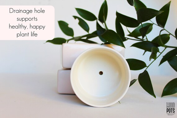 Outdoor & Gardening Funny dirty planter Indoor Planters Home & Living ...