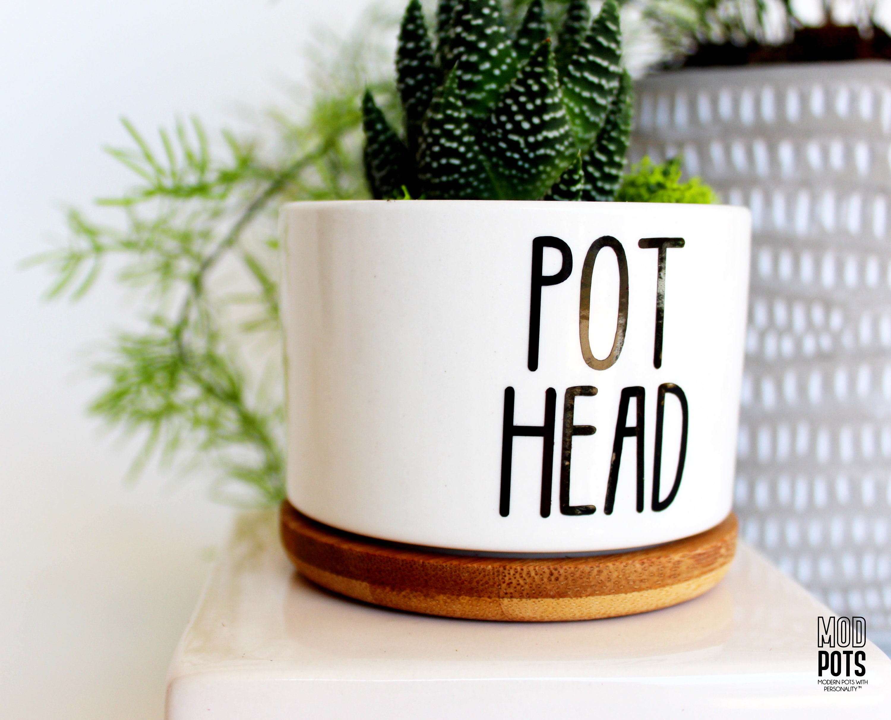 Pot Head Succulent Pot Pot Head Gift - Etsy