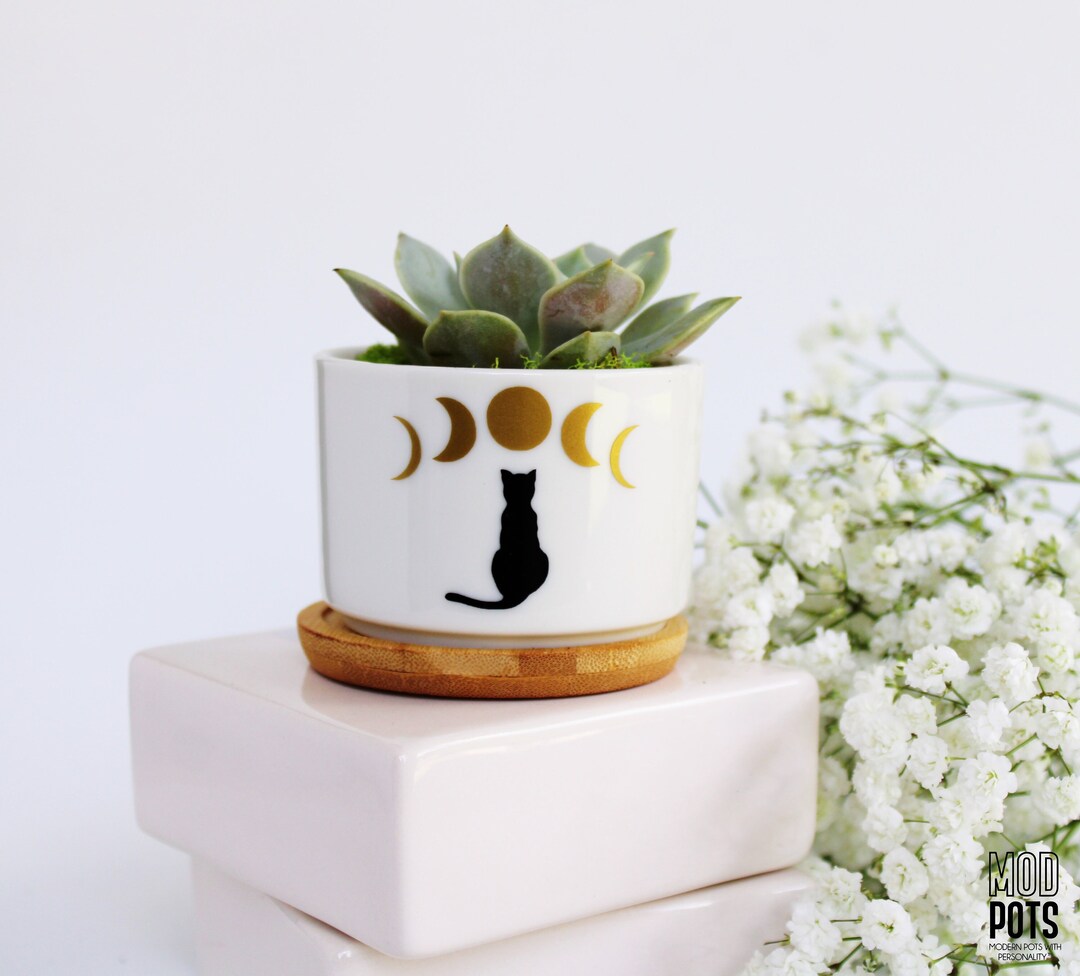 Cat With Moon Phases | Celestial Cat | Witchy Vibes | Witch | Moon ...