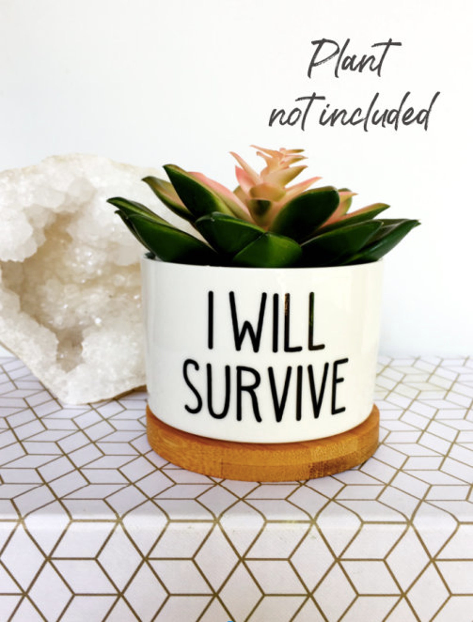 I will survive funny planter succulent planter best friend | Etsy