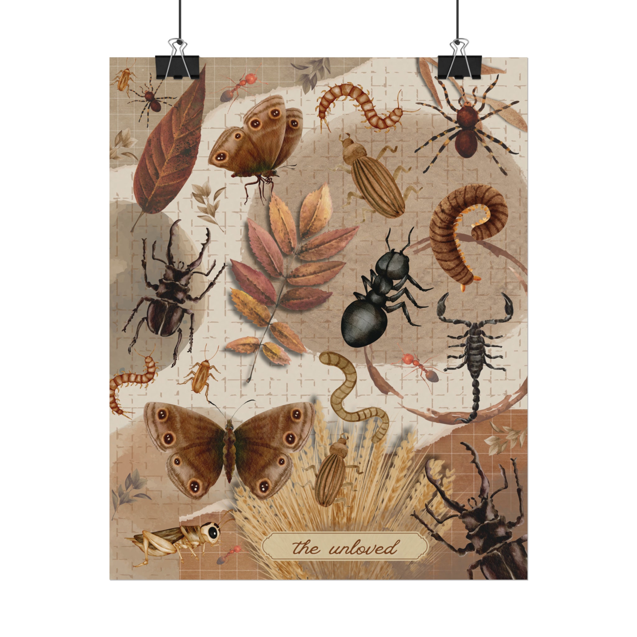The "unloved" | Insect Entomology Textured Watercolor Poster | Science ...