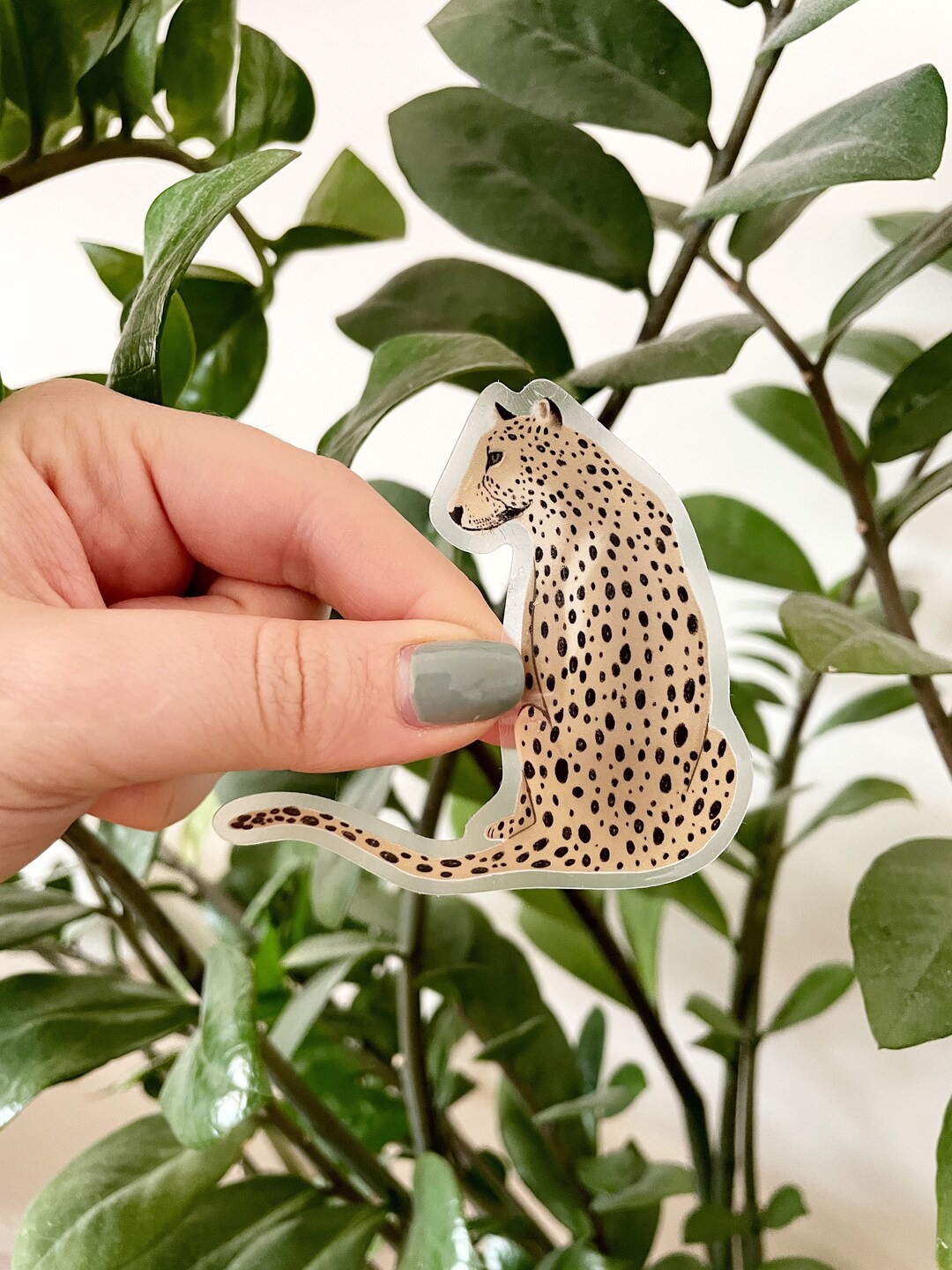 Cheetah Clear Vinyl Waterproof Sticker - Etsy