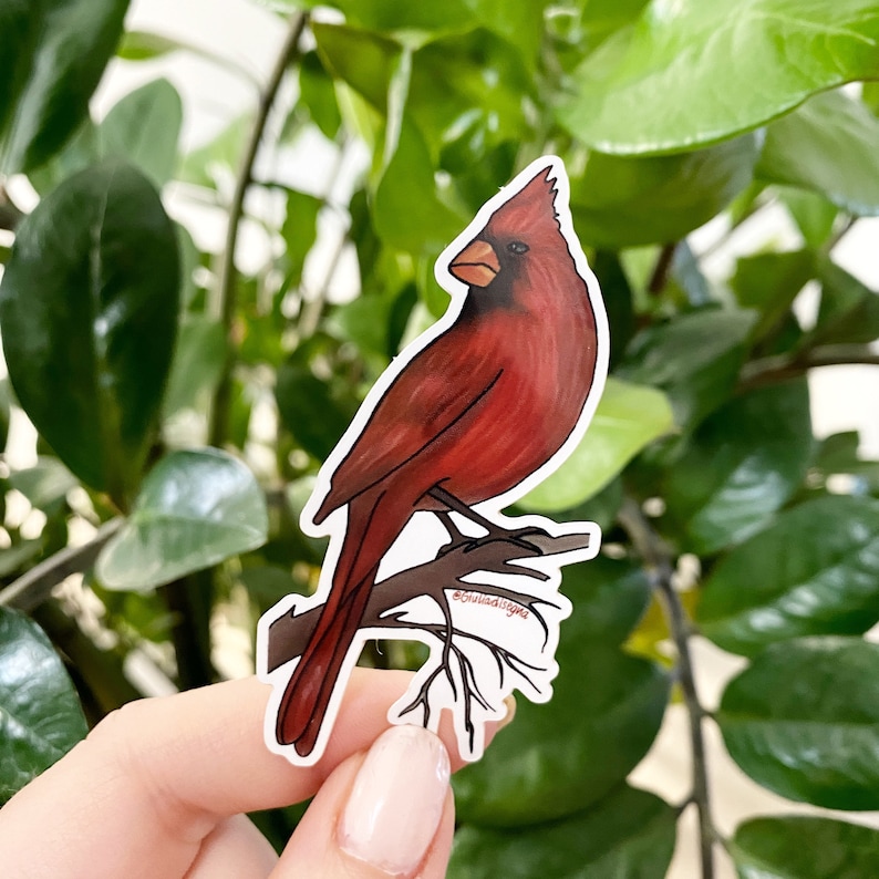 Red Cardinal Bird Glossy Sticker Waterproof Gift - Etsy
