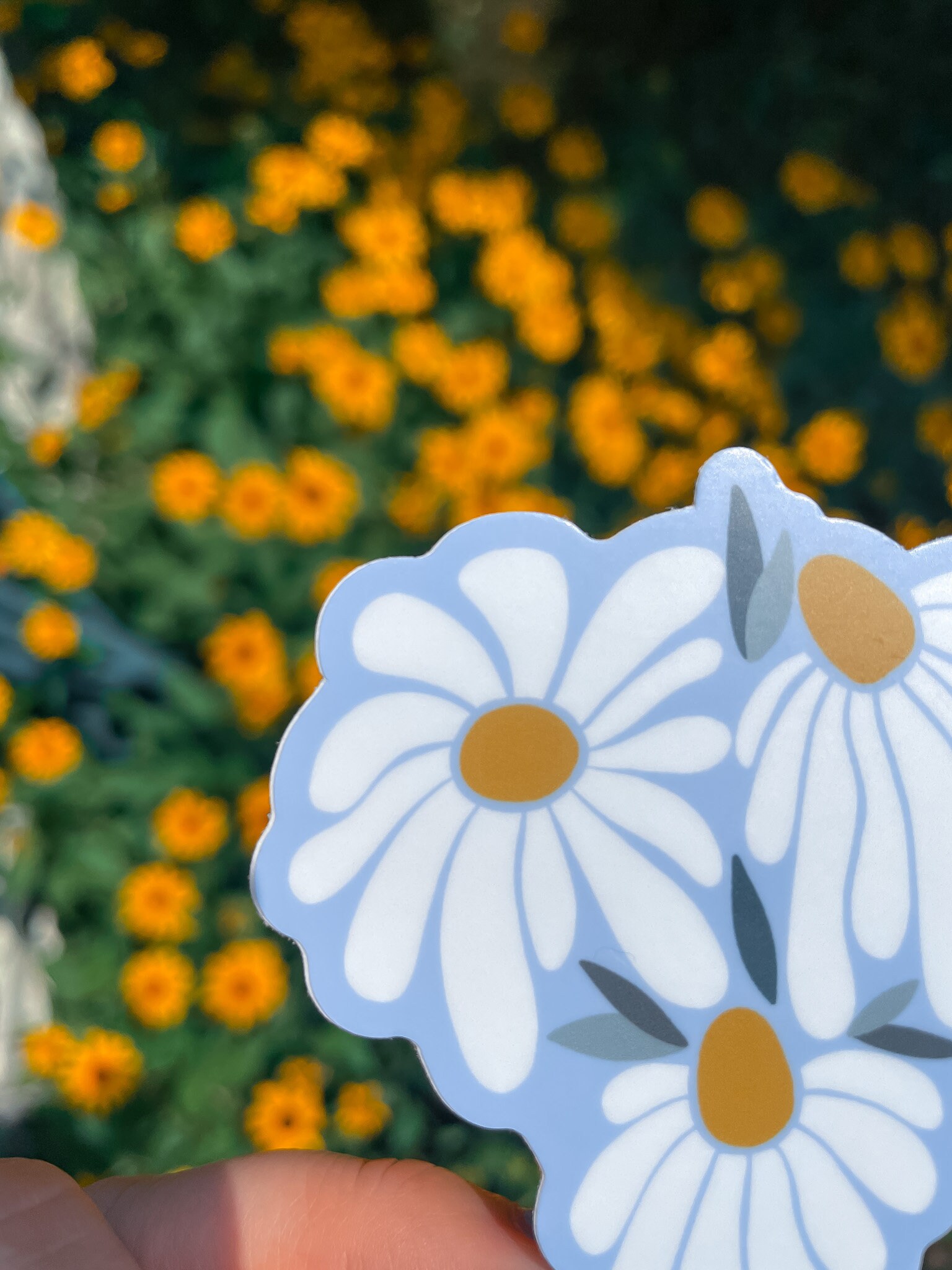 Matte Daisy on Periwinkle Vinyl Sticker Waterproof - Etsy