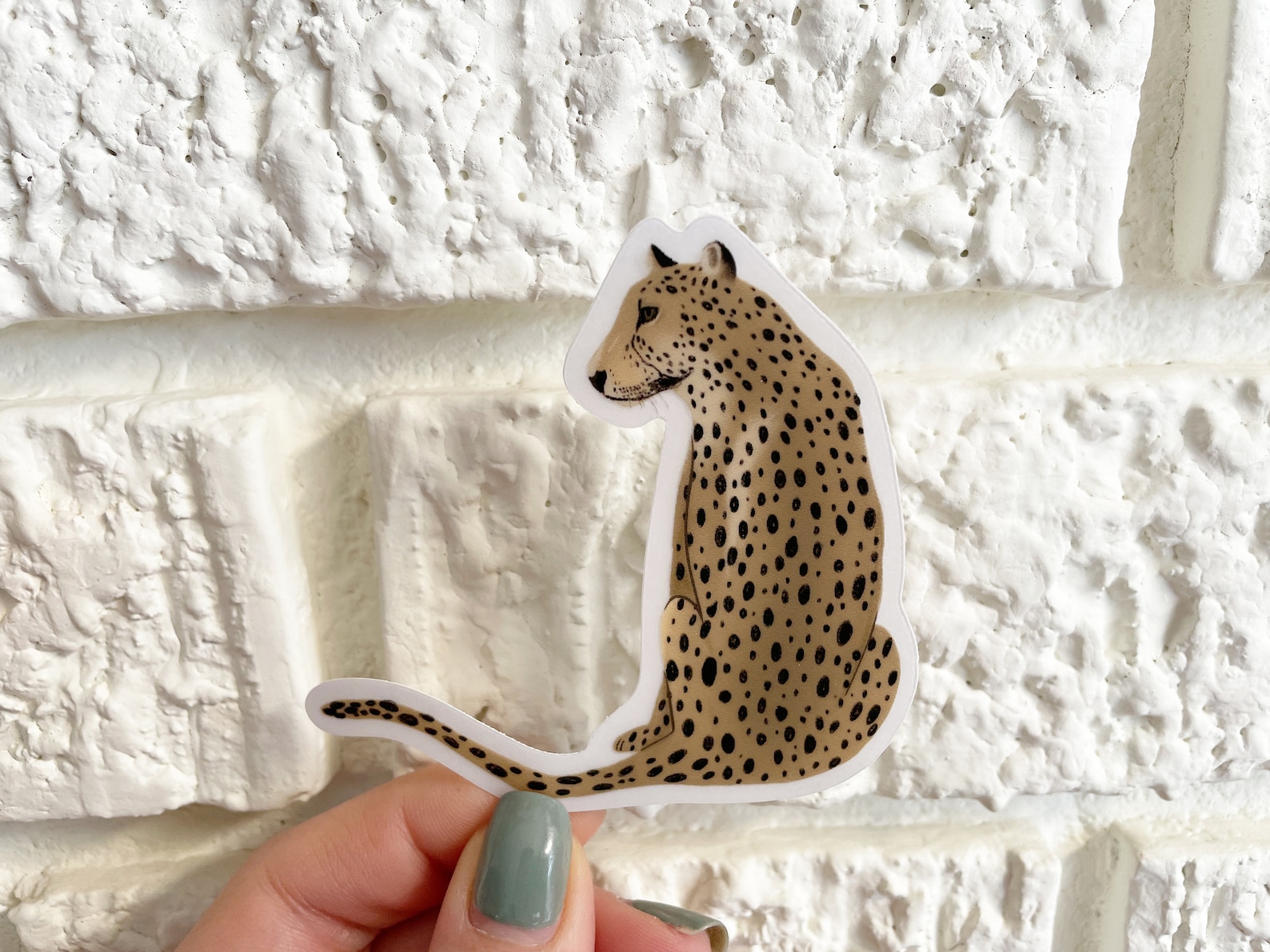 Cheetah Clear Vinyl Waterproof Sticker - Etsy