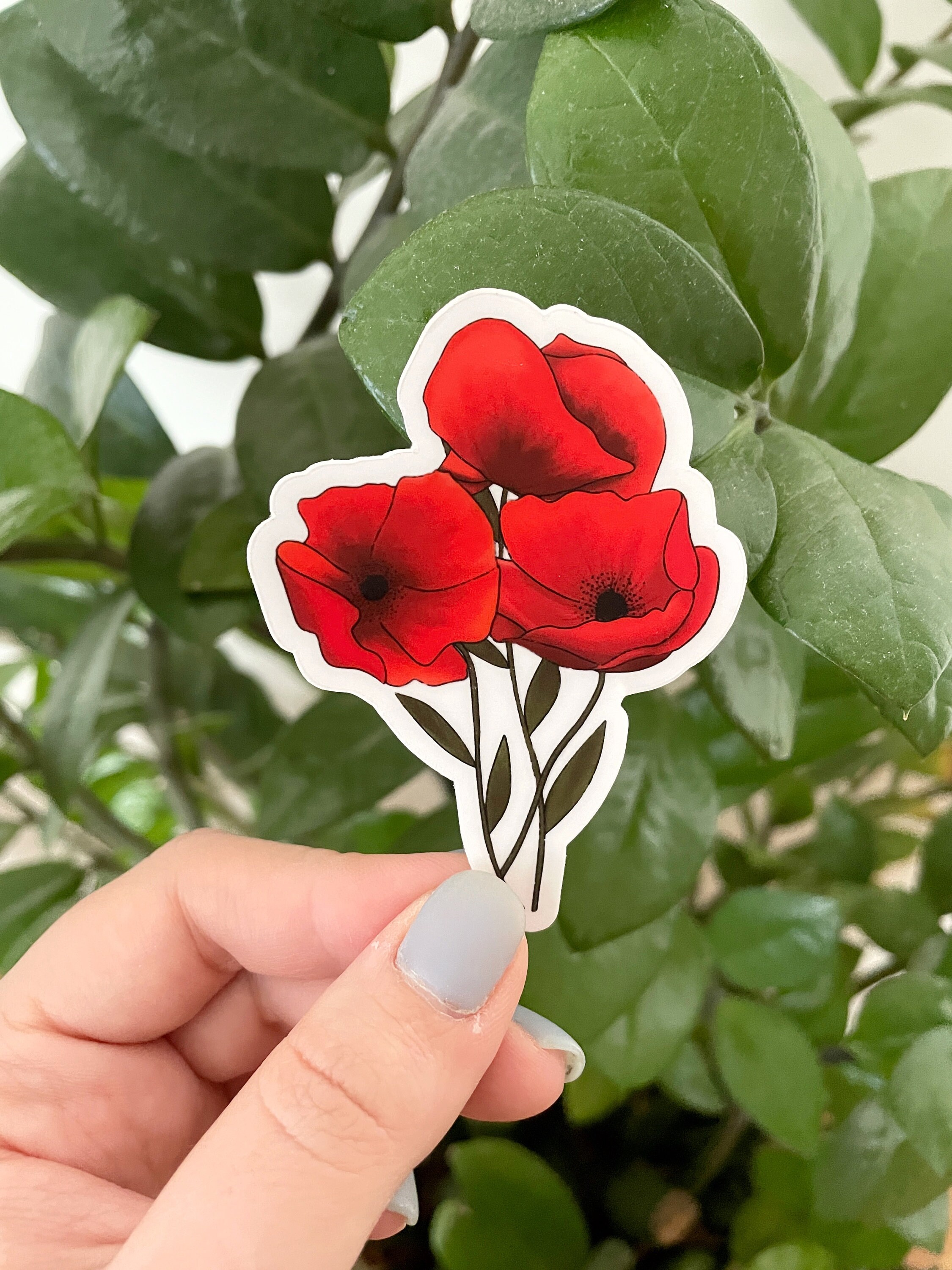 Clear Poppy Flowers Vinyl Sticker Waterproof Realistic | Etsy