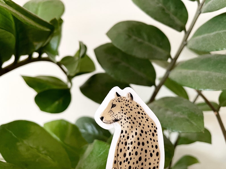 Cheetah Clear Vinyl Waterproof Sticker - Etsy