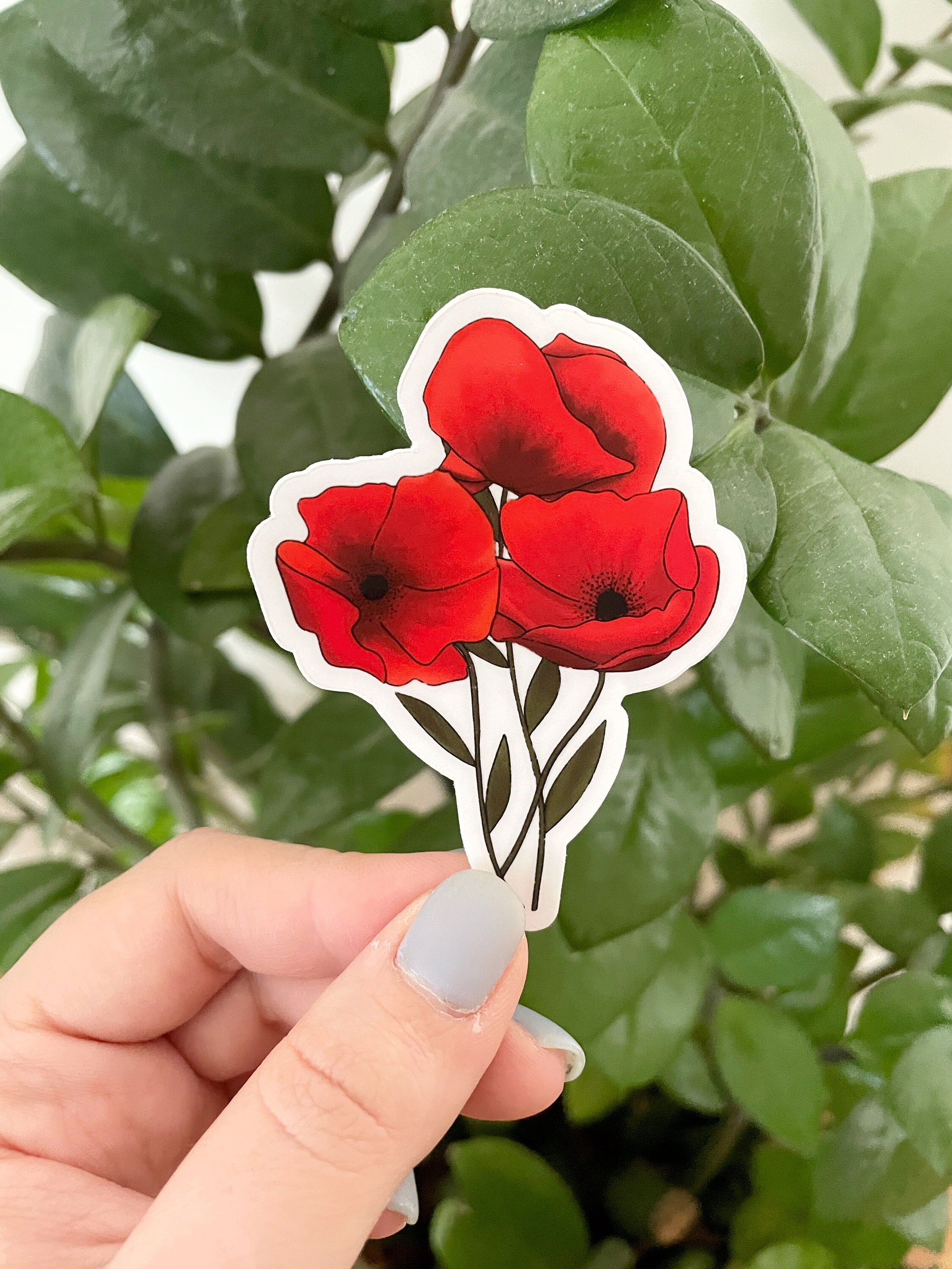 Clear Poppy Flowers Vinyl Sticker Waterproof Realistic | Etsy