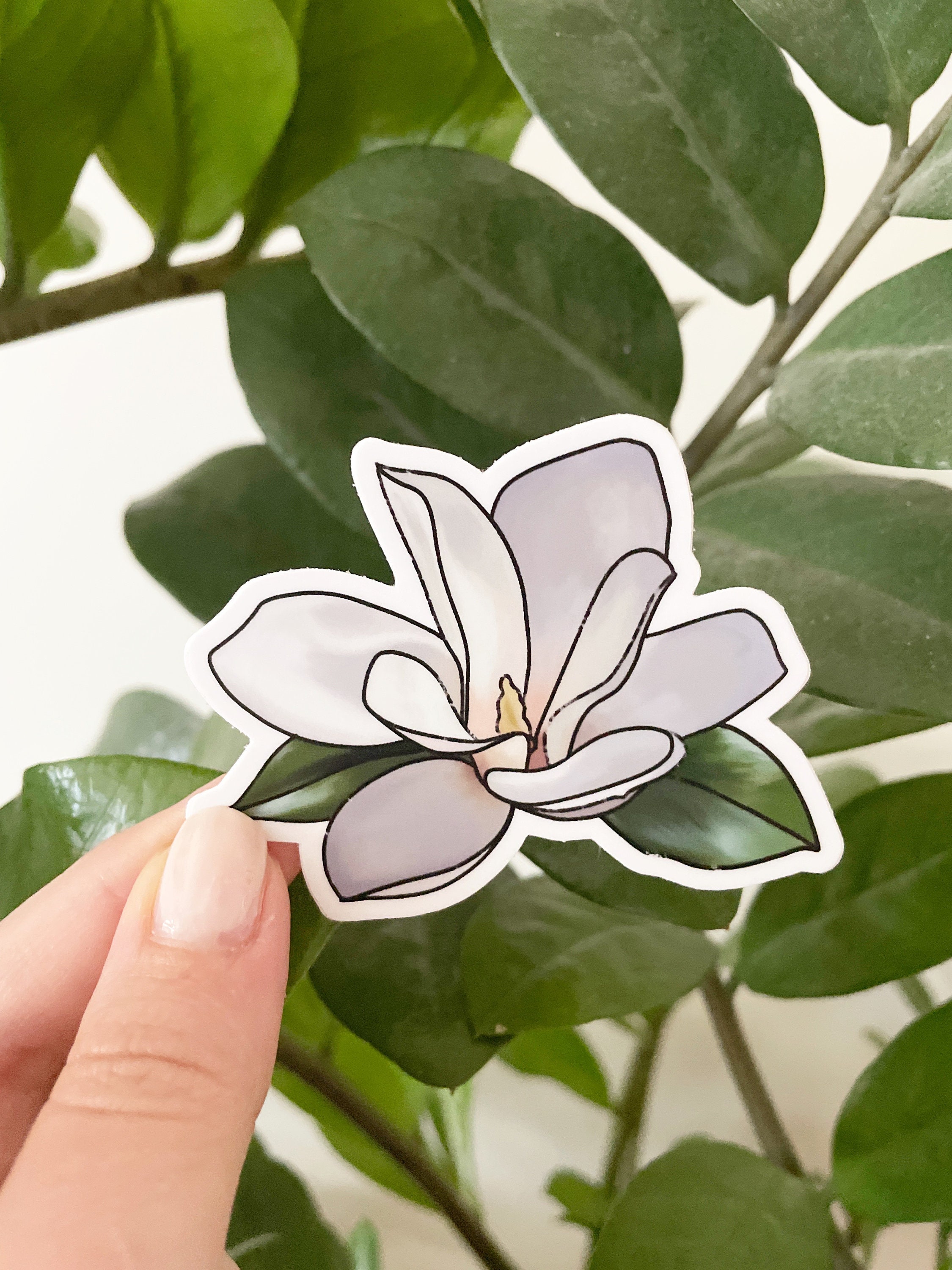 Magnolia Vinyl Sticker White Outline Waterproof Realistic | Etsy