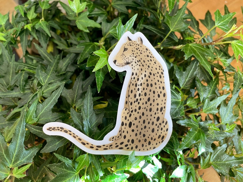 Cheetah Clear Vinyl Waterproof Sticker - Etsy