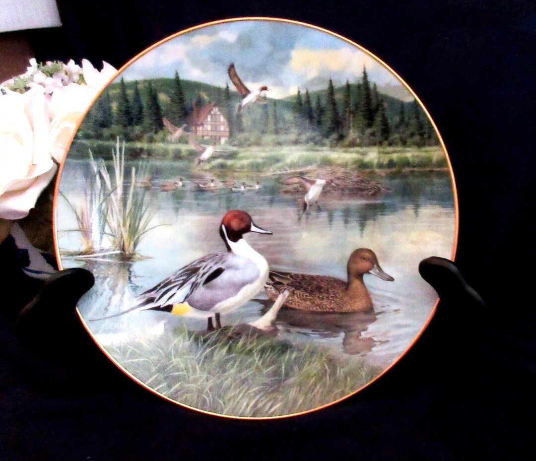 Vintage Pintail Duck Plate: Bart Jerner, Edwin Knowles, 1986 - Etsy