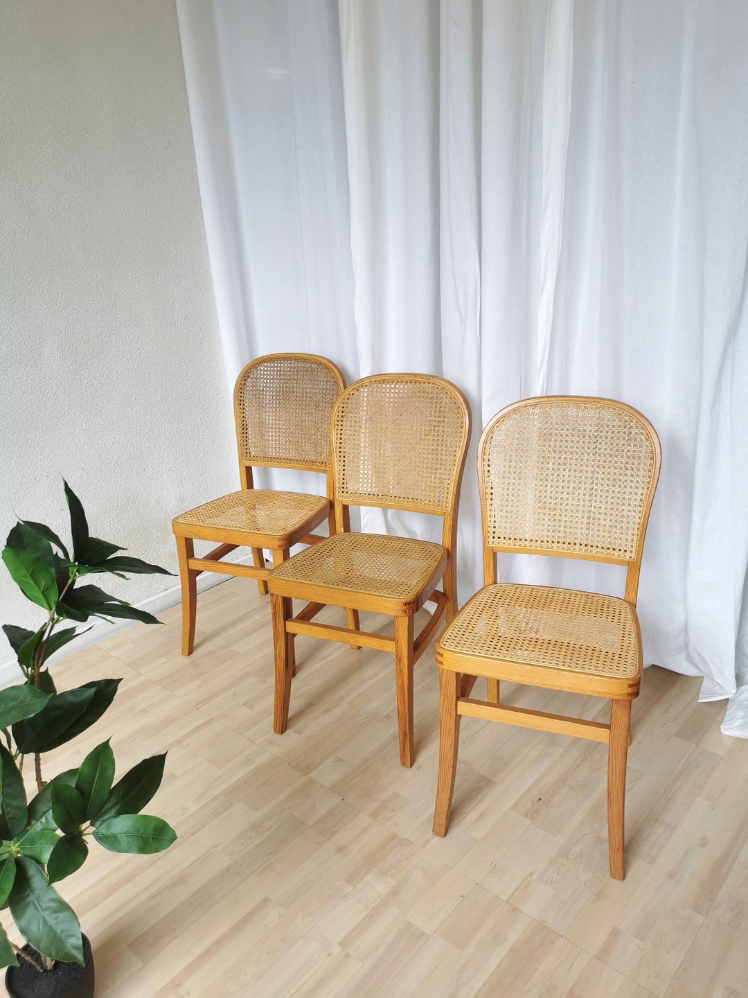 SET of 3 Vintage Wooden Dine Chairs With Cane Seat and Cane Backrest ...