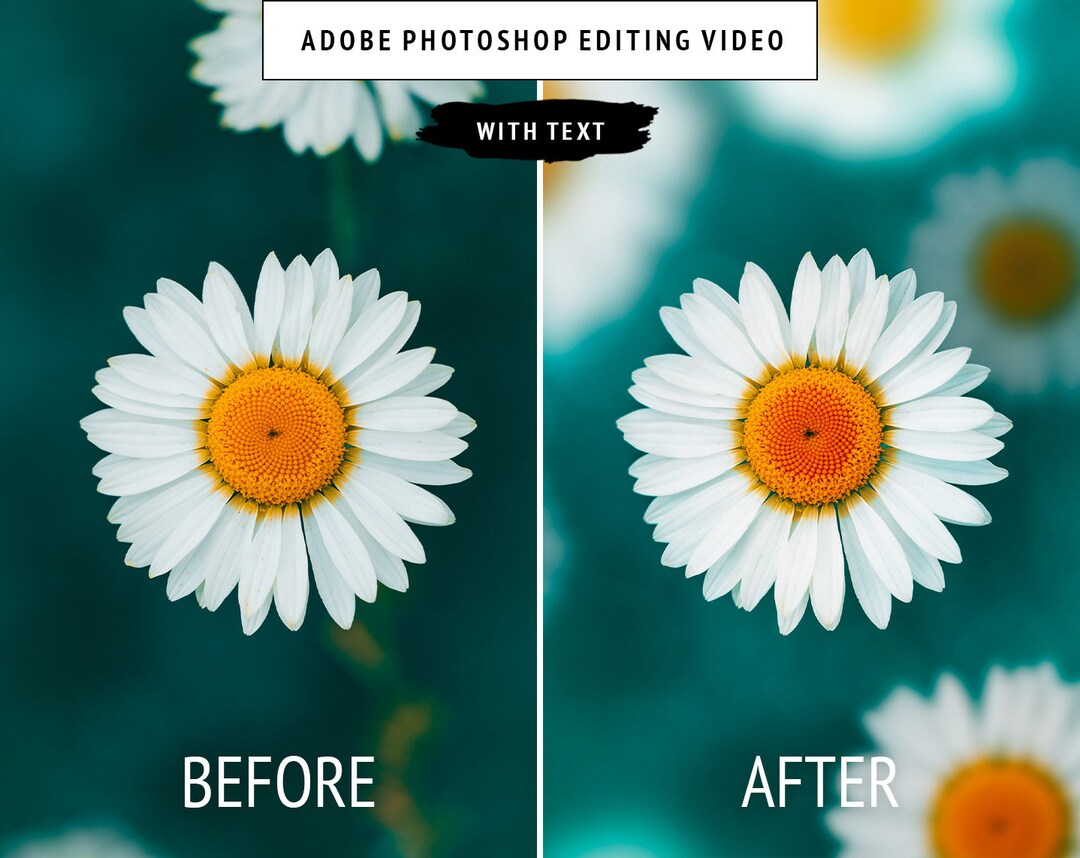 Photoshop Daisy Edit Tutorial: Creative With Added Flowers (english ...